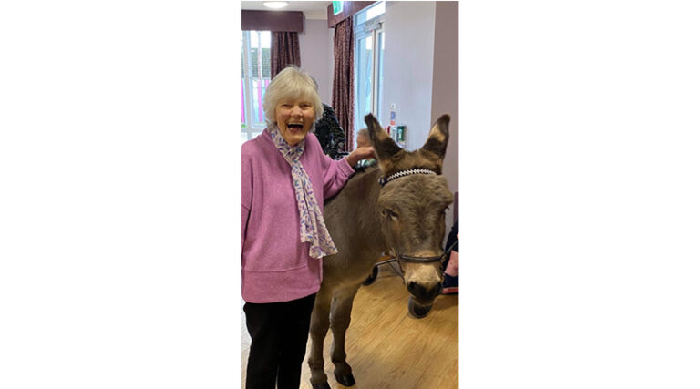 Kinedale Donkeys Visit Oak Tree Manor