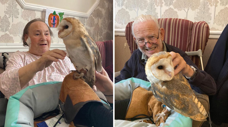 Owl Makes ‘Flying Visit’ To For Animal Therapy Session